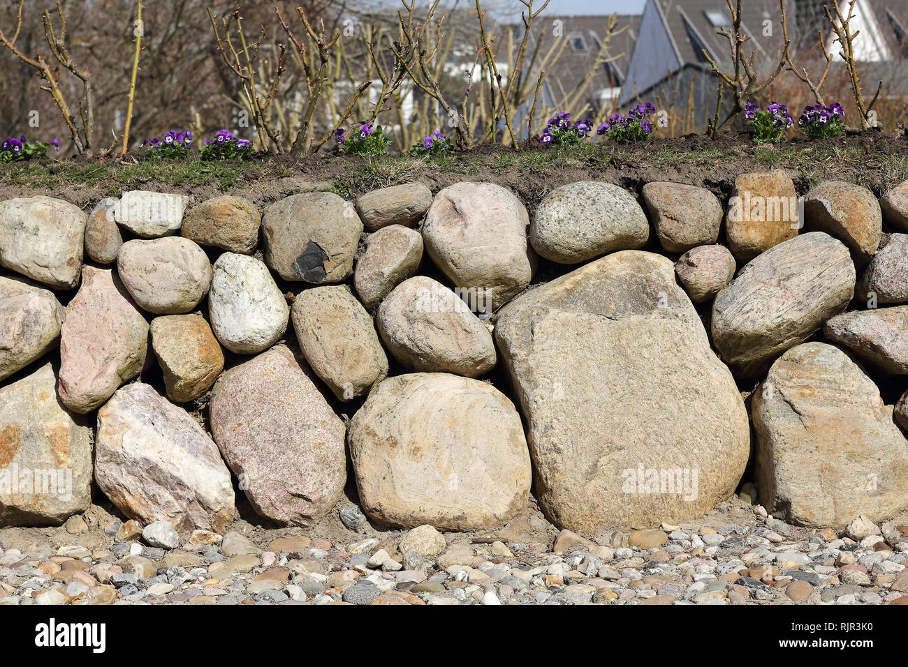 Frisian stone wall with pansies Stock Photo - Alamy