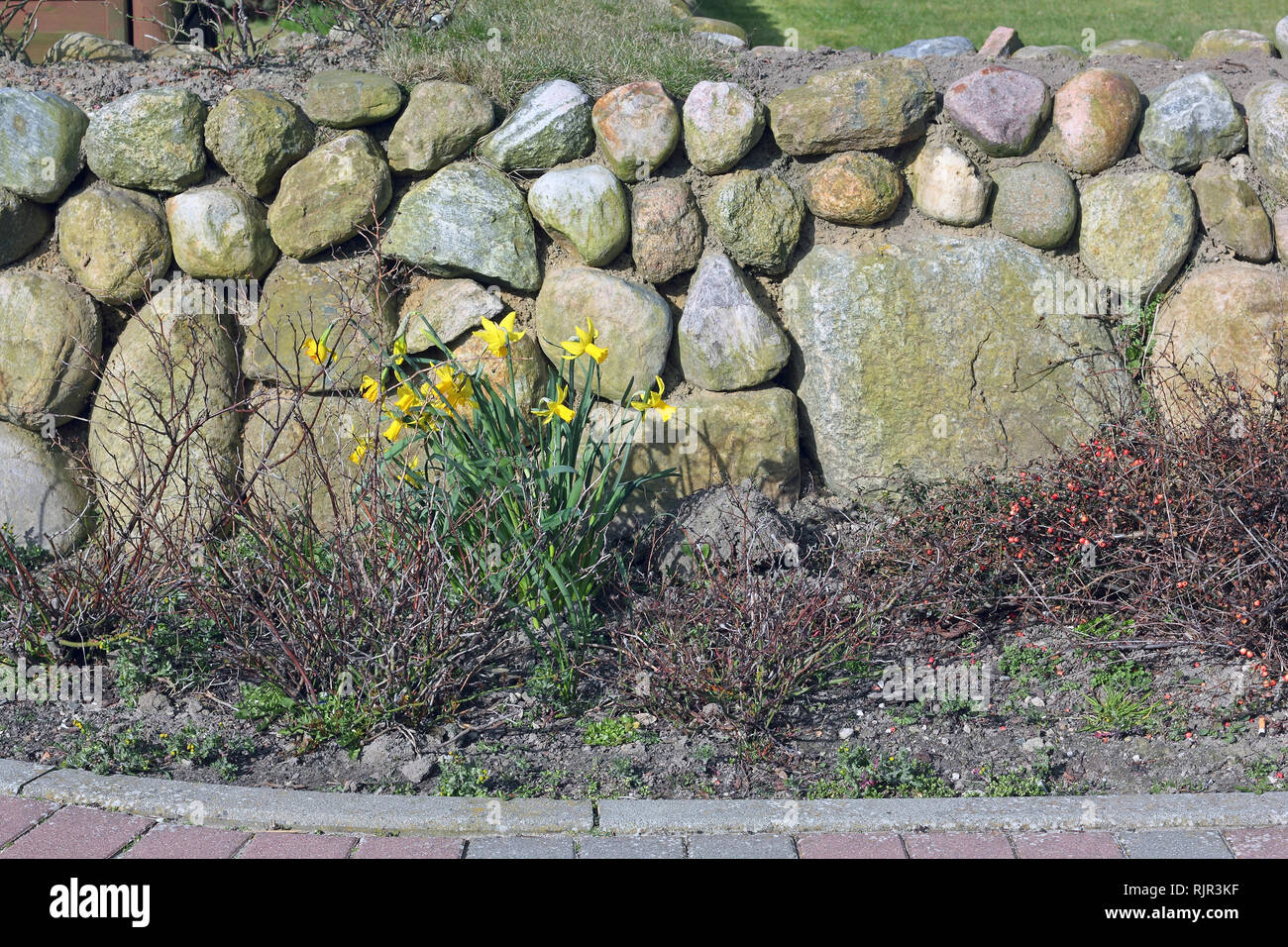 Friesenwall hi-res stock photography and images - Alamy