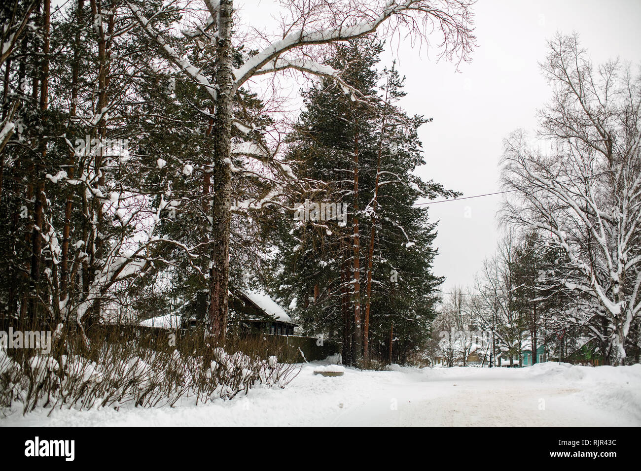 Snowy winter on the street in the Russian village Stock Photo - Alamy