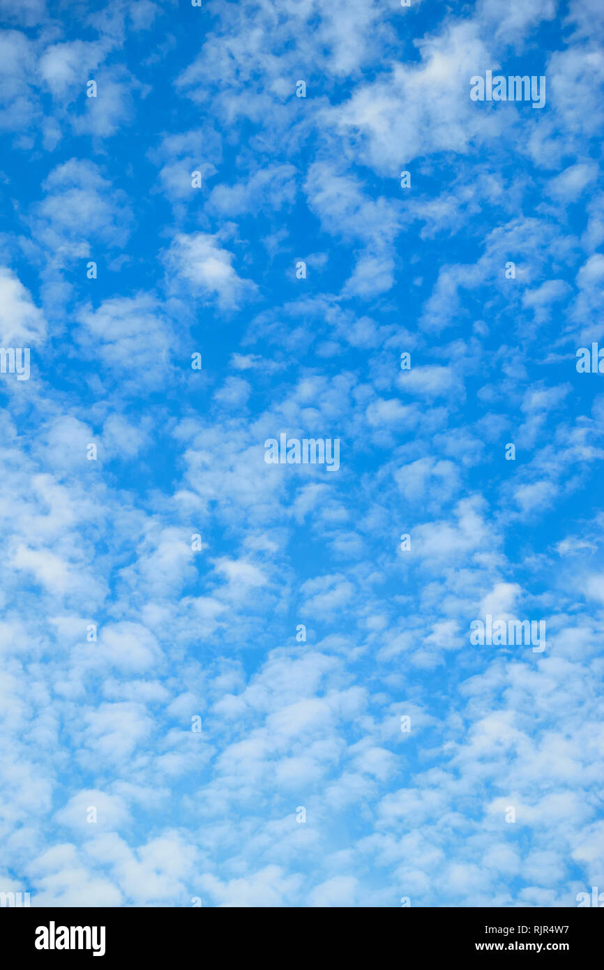 Blue spring sky with lots small white clouds - textured background ...