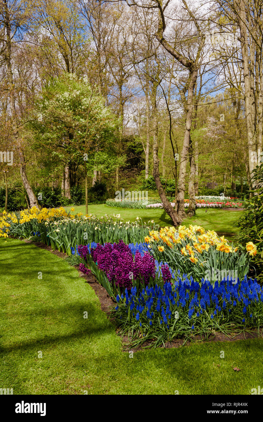 A Sunny day in the park. Beautiful landscape Stock Photo - Alamy