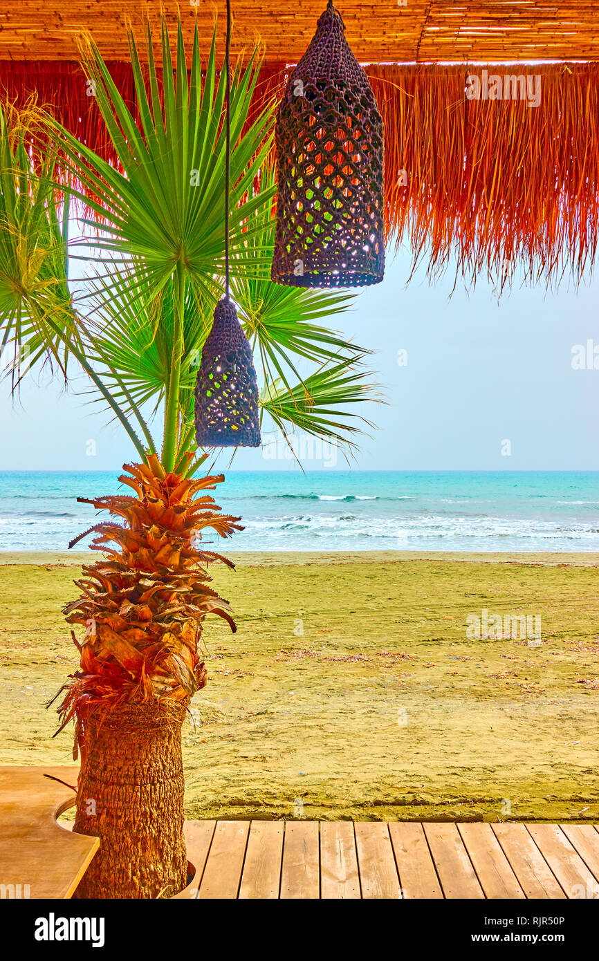 Palm tree bar hi-res stock photography and images - Alamy