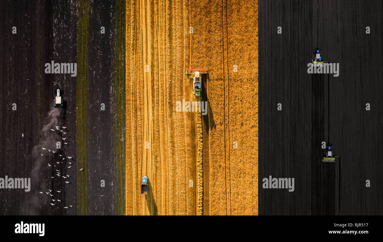 A collage of three different field processing seasons Stock Photo - Alamy