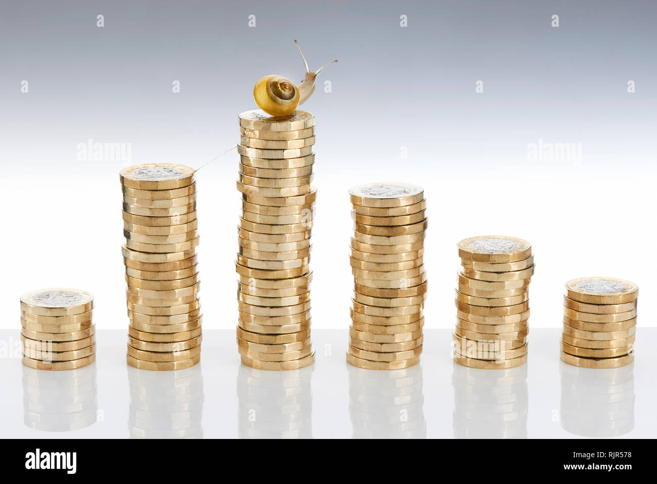 Stack of £1 Coins with a Garden Snail Sitting on Top Stock Photo - Alamy