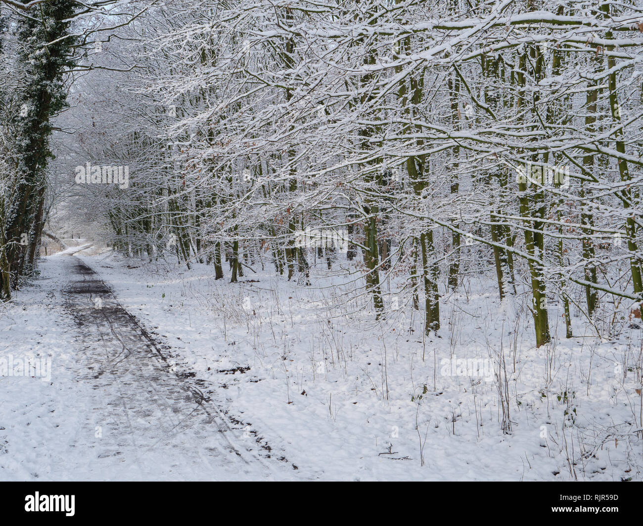 winter time in germany Stock Photo - Alamy