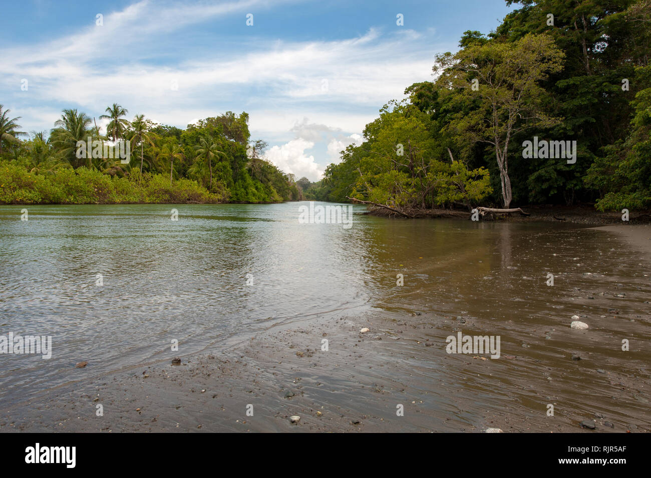 Sirena Ranger Station High Resolution Stock Photography and Images - Alamy