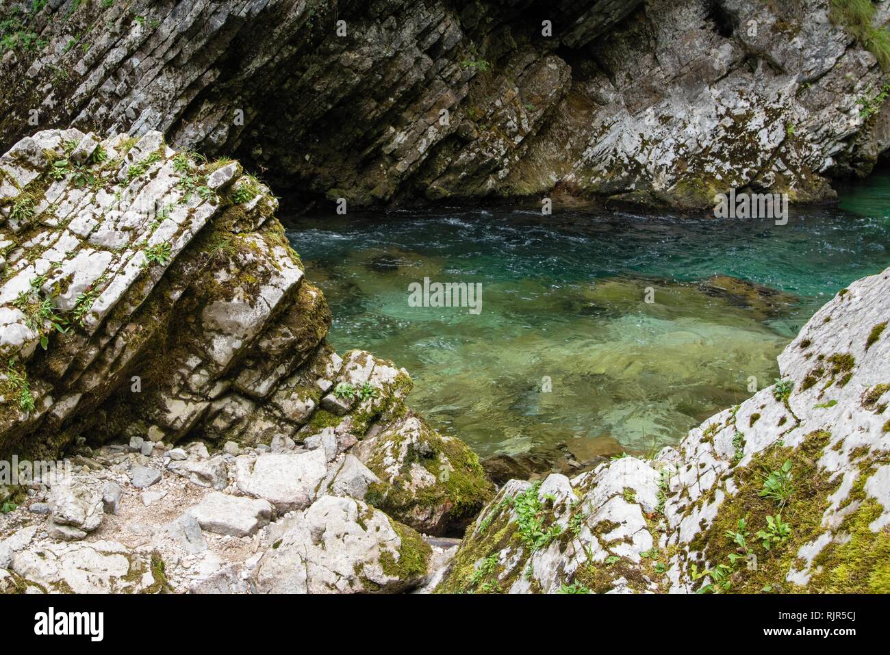 Vintgar gorge and river, near Bled lake, Slovenia Stock Photo - Alamy