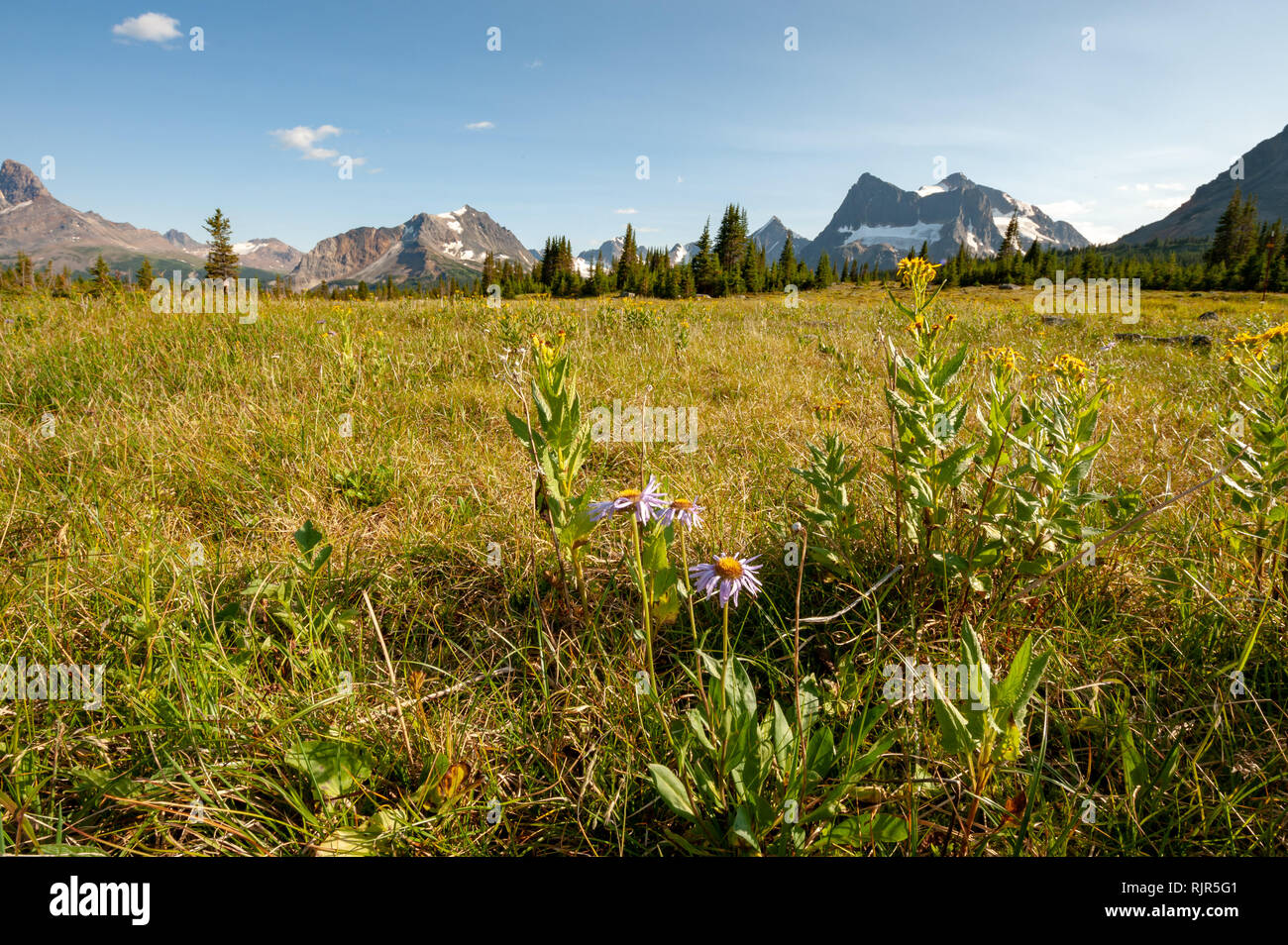Alberta mountains hi-res stock photography and images - Alamy