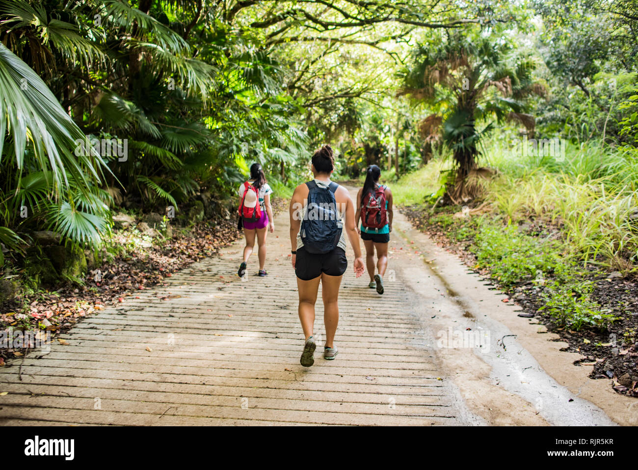 Hikers on Moanalua Valley Trail, Oahu, Hawaii Stock Photo - Alamy
