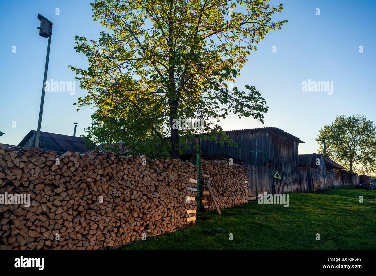 Stacks of firewood on farm, Ural, Sverdlovsk, Russia Stock Photo - Alamy