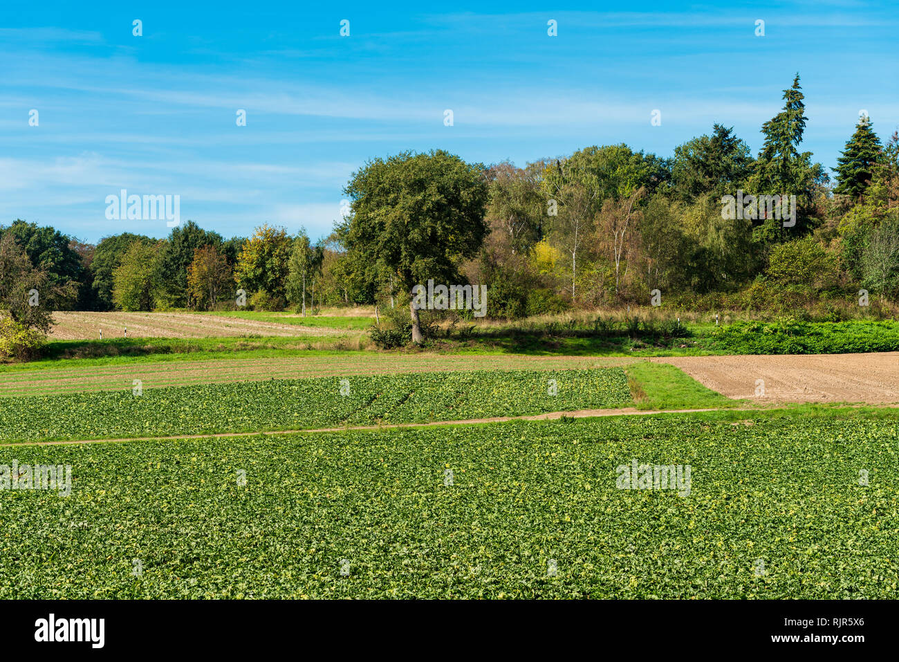 countryside around a farm Stock Photo - Alamy