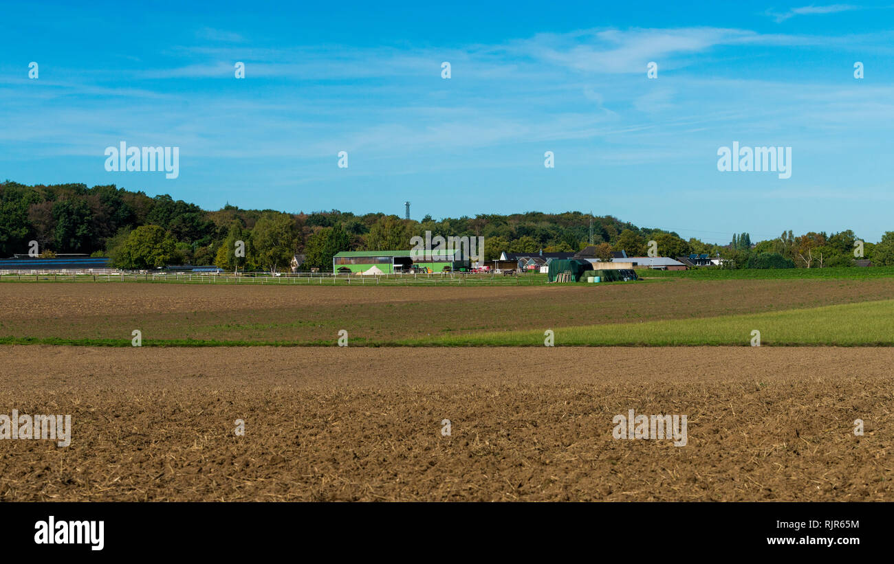 rural landscape. field and grass Stock Photo - Alamy