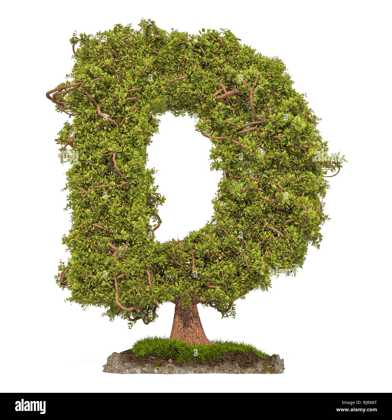 Tree letter D. Tree in shaped of letter D, 3D rendering isolated on ...