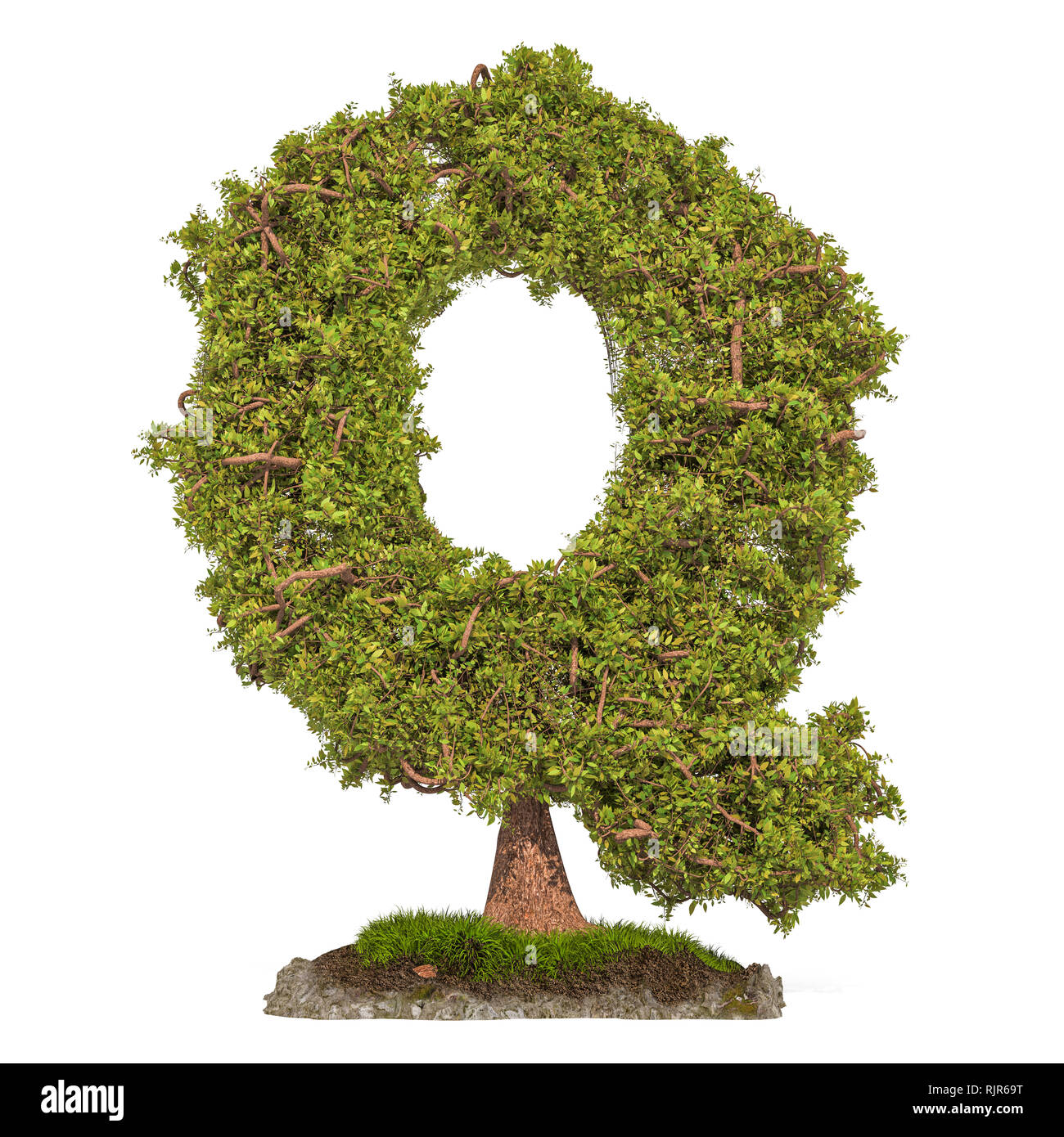Tree letter Q. Tree in shaped of letter Q, 3D rendering isolated on ...