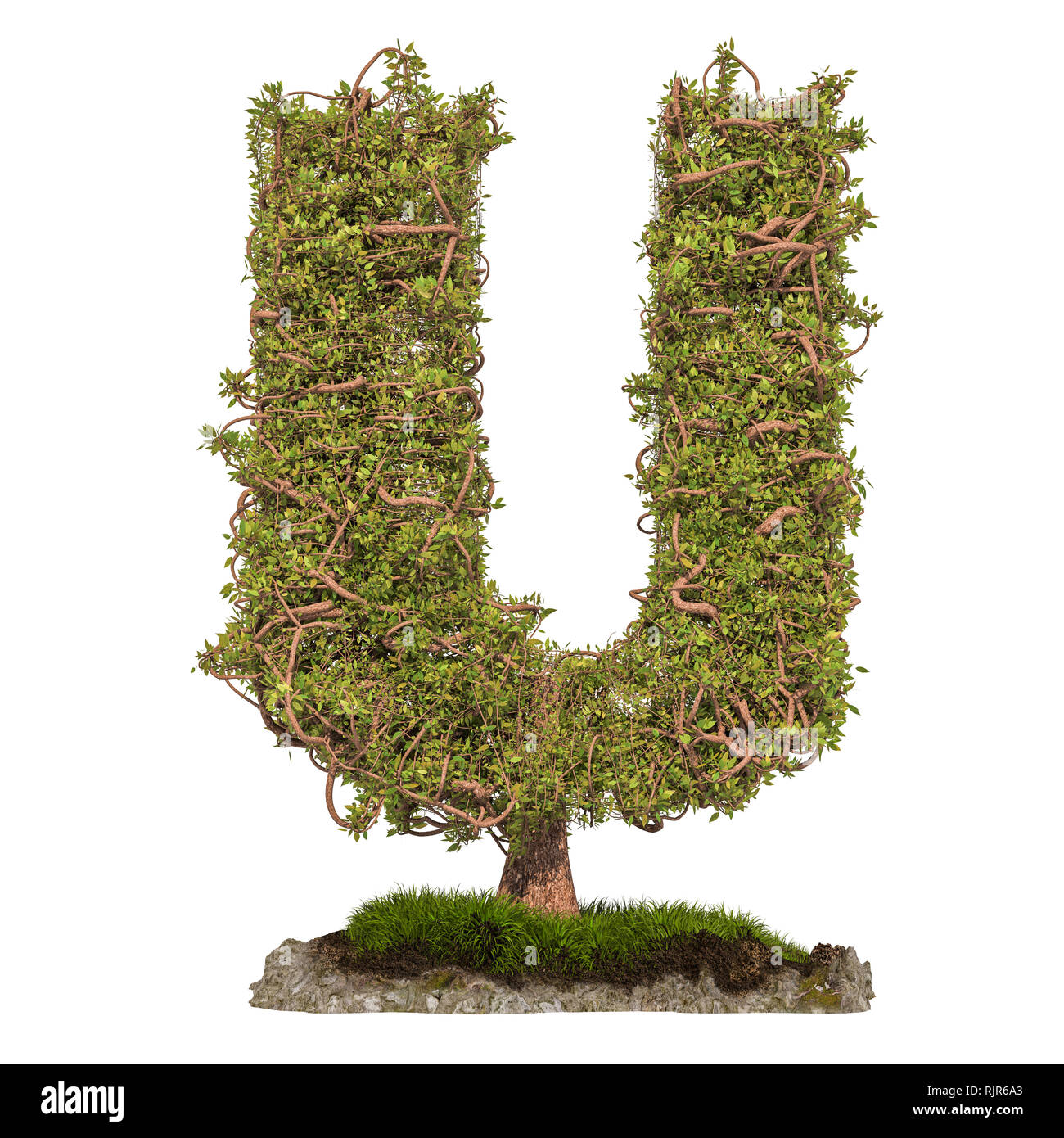 Tree letter U. Tree in shaped of letter U, 3D rendering isolated on ...