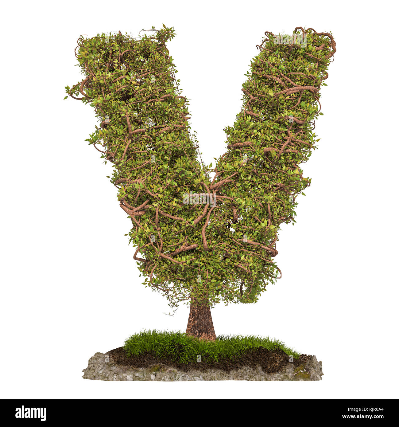 V shaped tree hi-res stock photography and images - Alamy