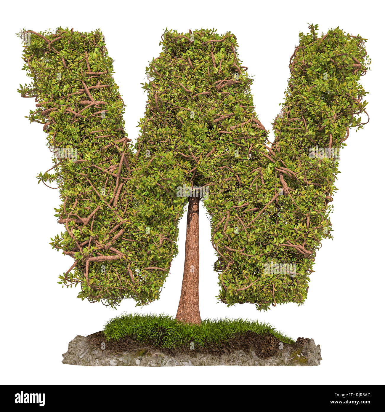 Tree letter W. Tree in shaped of letter W, 3D rendering isolated on ...