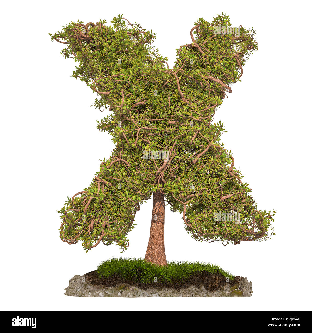 Tree letter X. Tree in shaped of letter X, 3D rendering isolated on ...