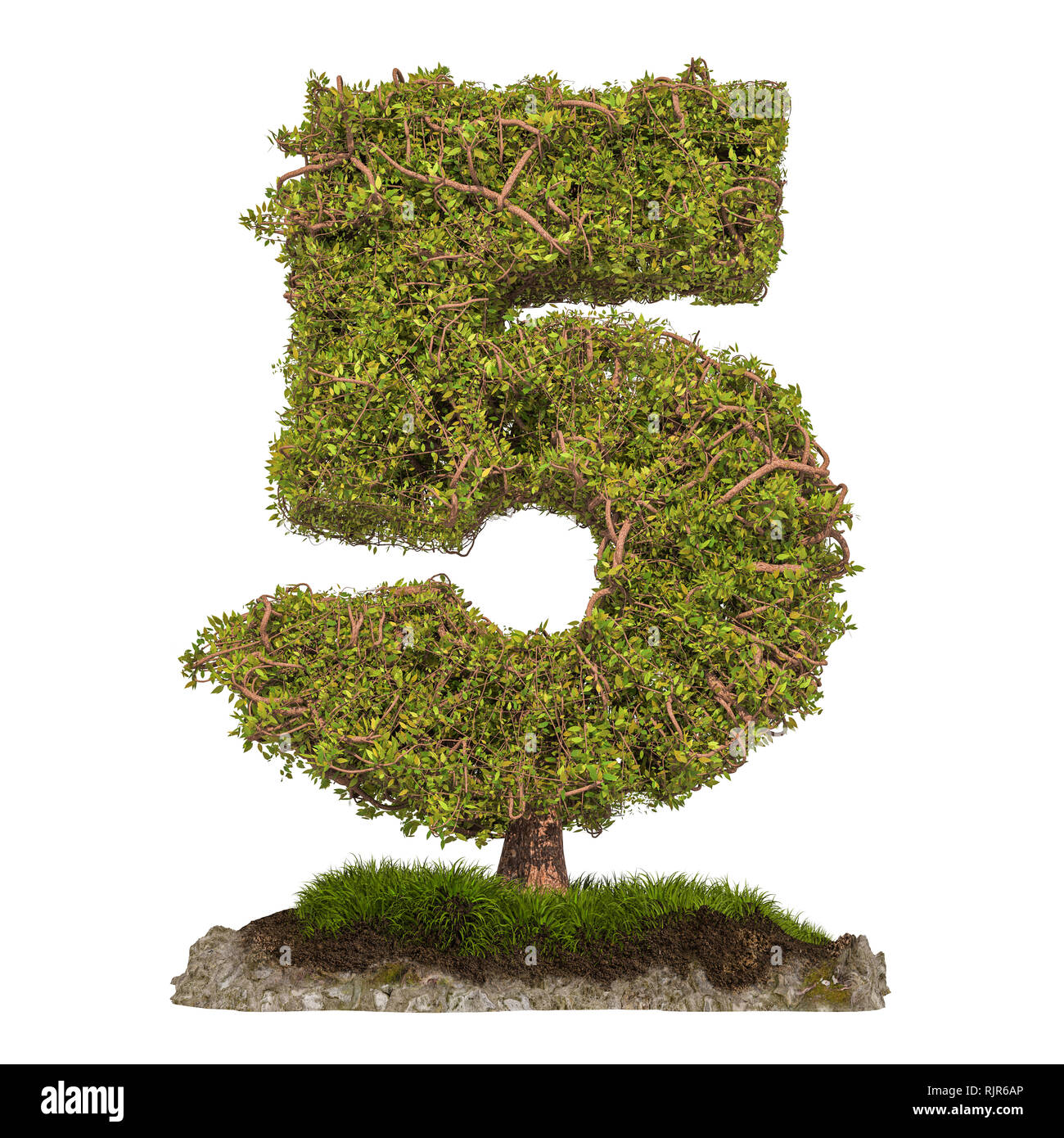 Tree Number 5. Tree in shaped of number 5, 3D rendering isolated on ...
