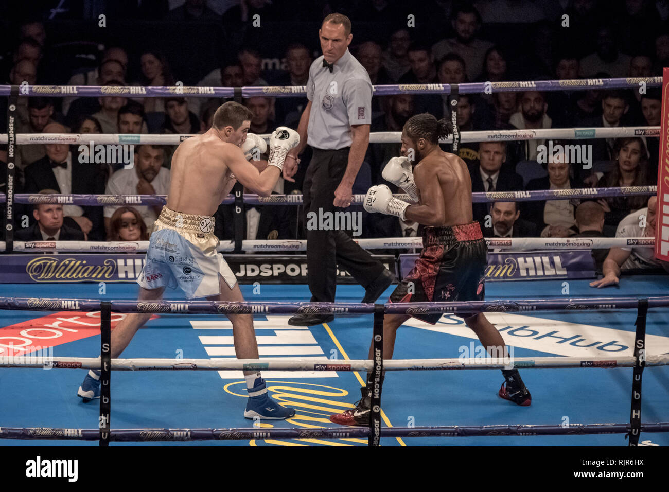 Jake ball boxer hi-res stock photography and images - Alamy