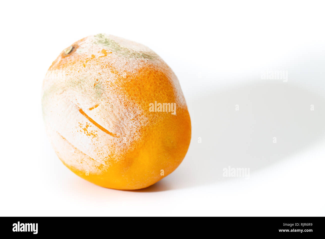 Spoiled orange with mold, on white background Stock Photo - Alamy