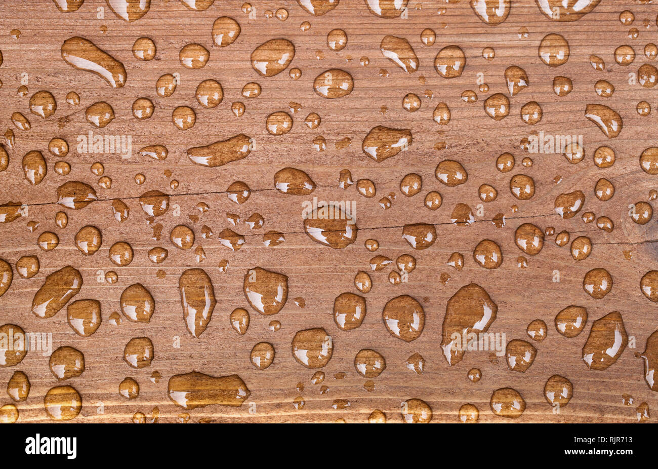 Wood protection hi-res stock photography and images - Alamy