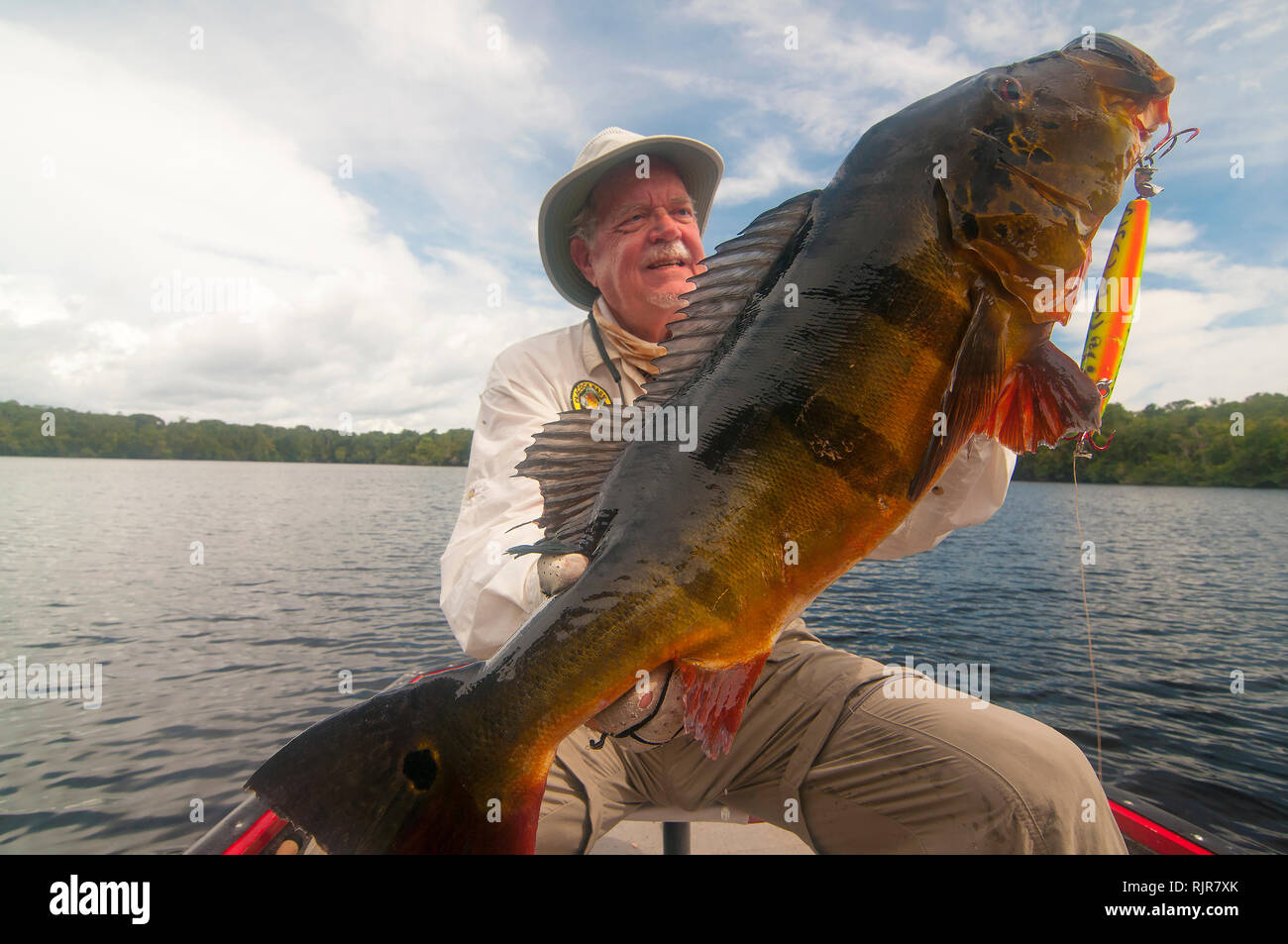 An angler lifts a giant 18-pound peacock bass that fell for a big ...