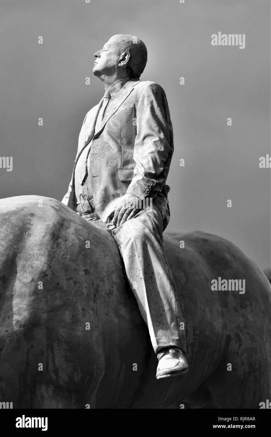 Horse looking forward Black and White Stock Photos & Images - Alamy