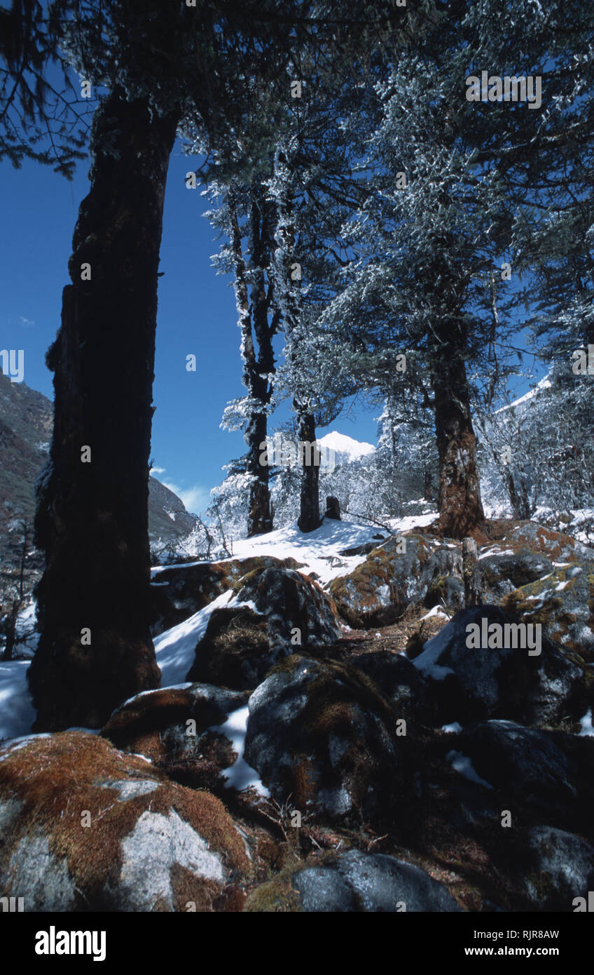 Gochela trek hi-res stock photography and images - Alamy