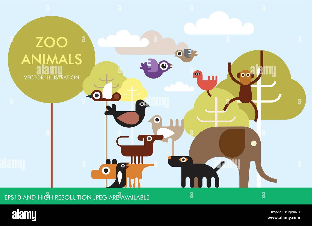 Zoo animals and birds vector template design. Jungle wildlife ...