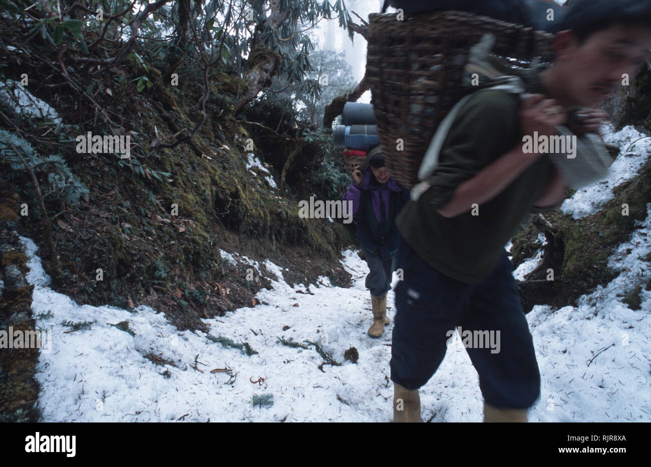 Caption: Kanchendzonga, Sikkim, India - Mar 2003. Porters on the five ...