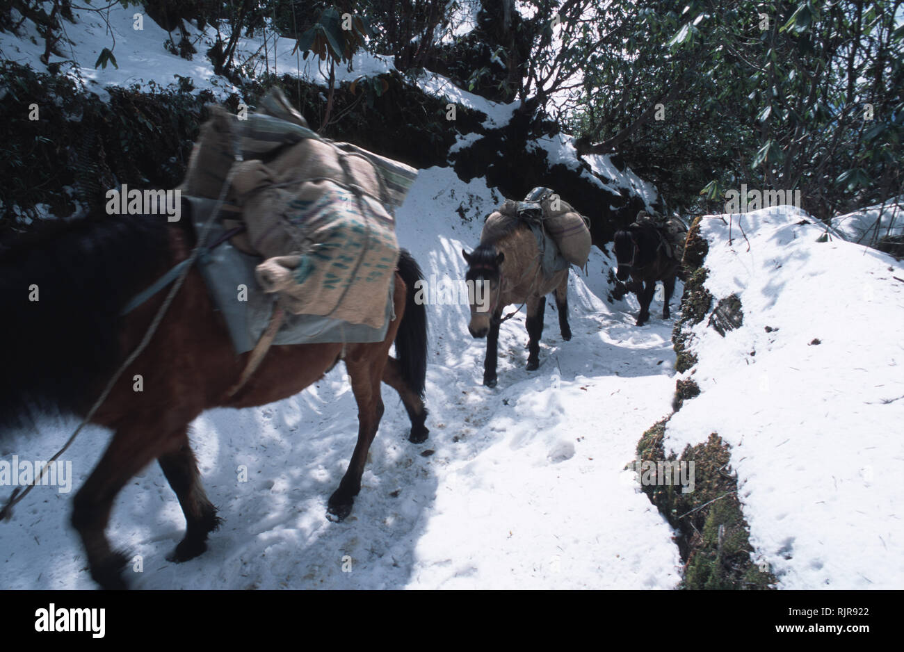 Gochela trek hi-res stock photography and images - Alamy