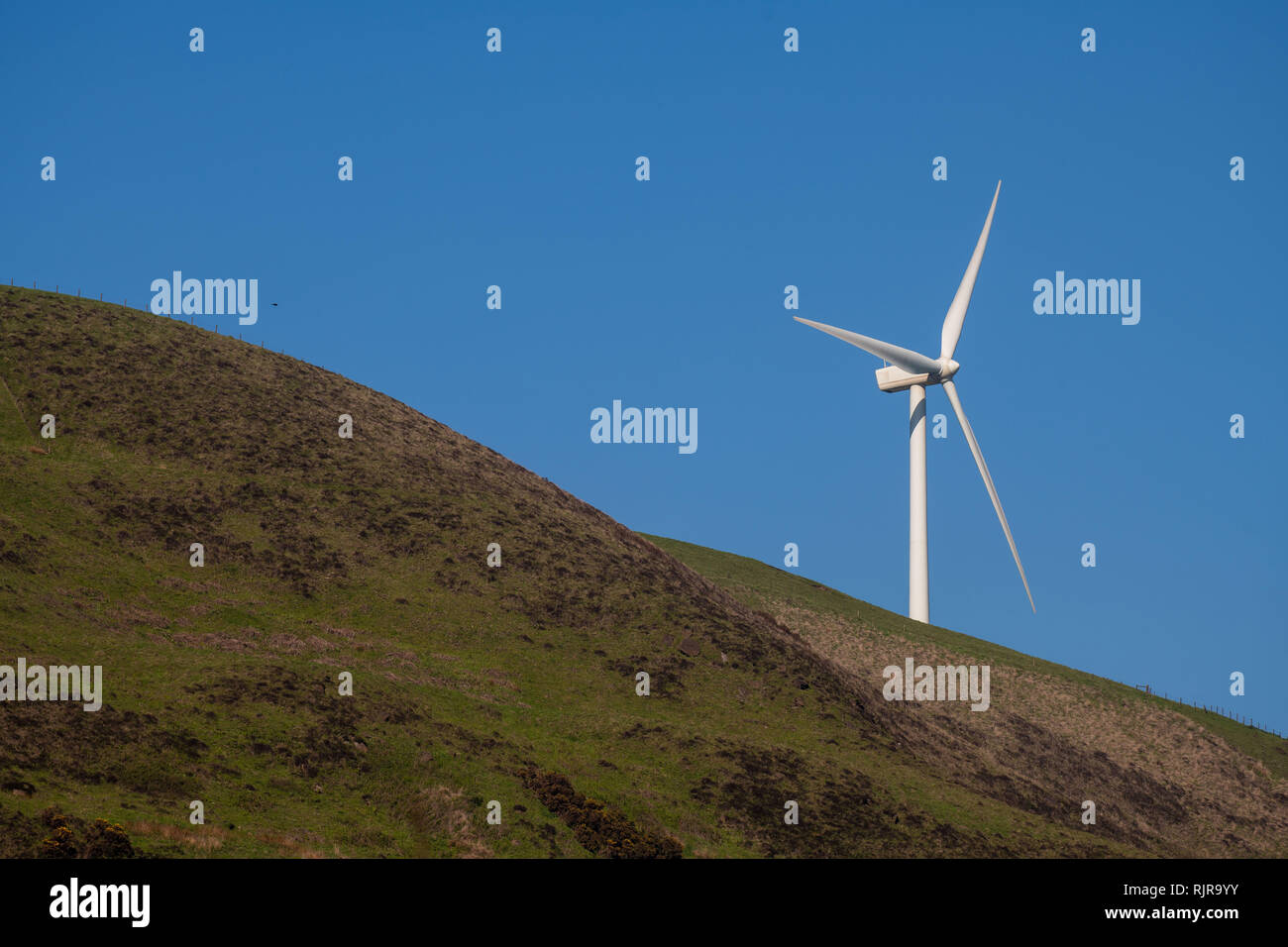 A single wind turbine in white on a green hill against a clear blue sky ...