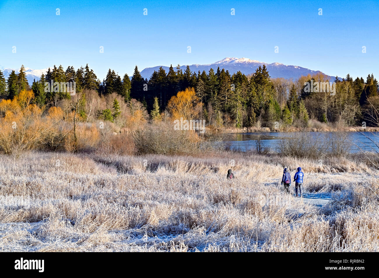 Central park burnaby british columbia hi-res stock photography and ...