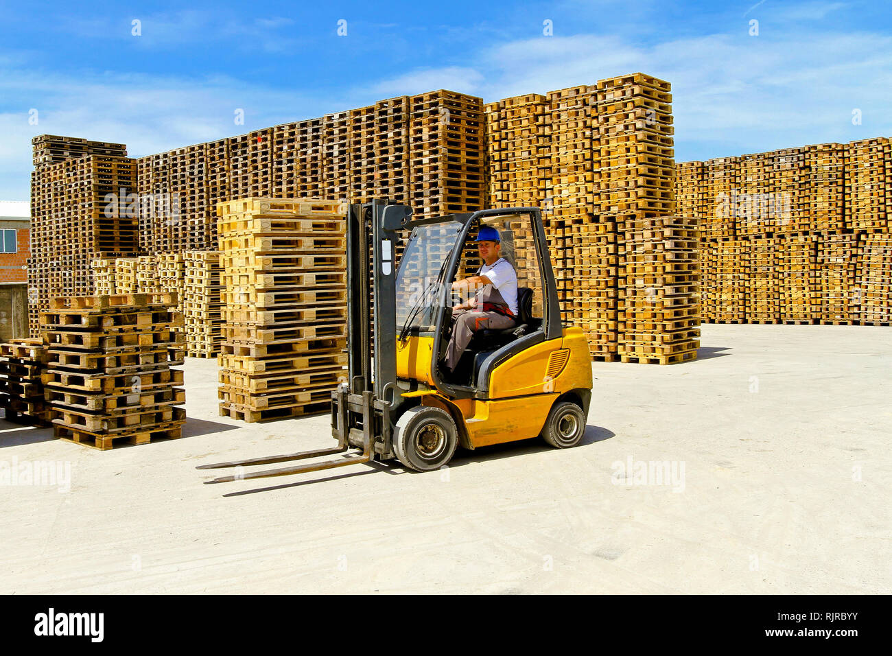 Forklift operator in pallet warehouse on the open Stock Photo - Alamy