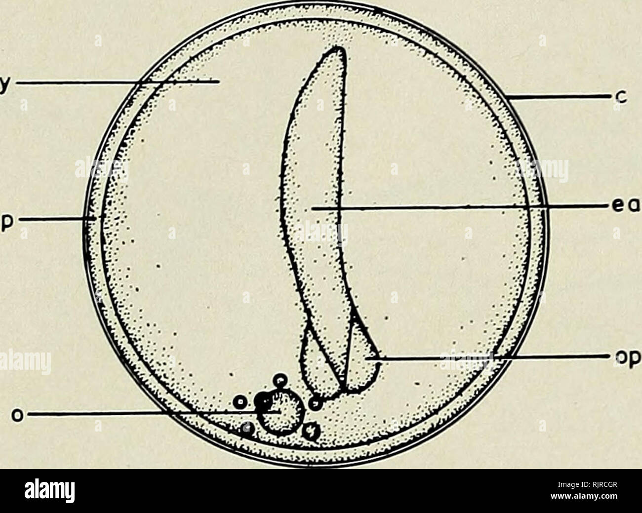 21 86 mm hi-res stock photography and images - Alamy