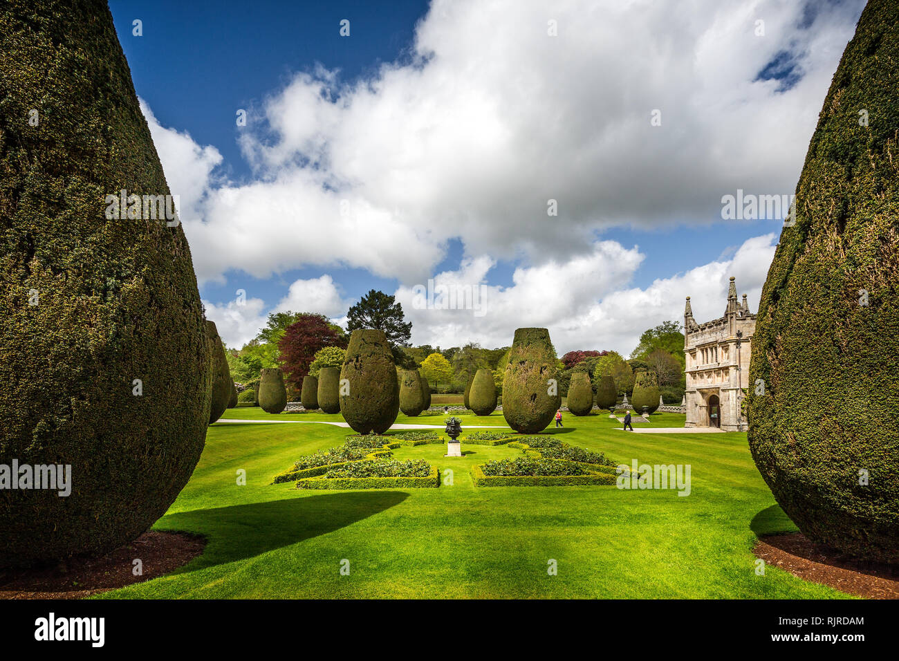 Magnificent topiary and formal garden in front of Lanhydrock Country ...