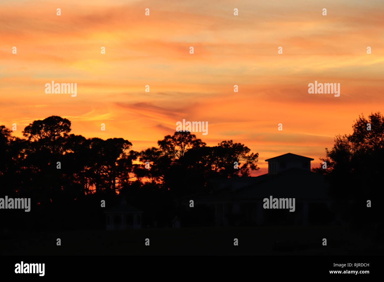 Sunset skies pine trees hi-res stock photography and images - Alamy