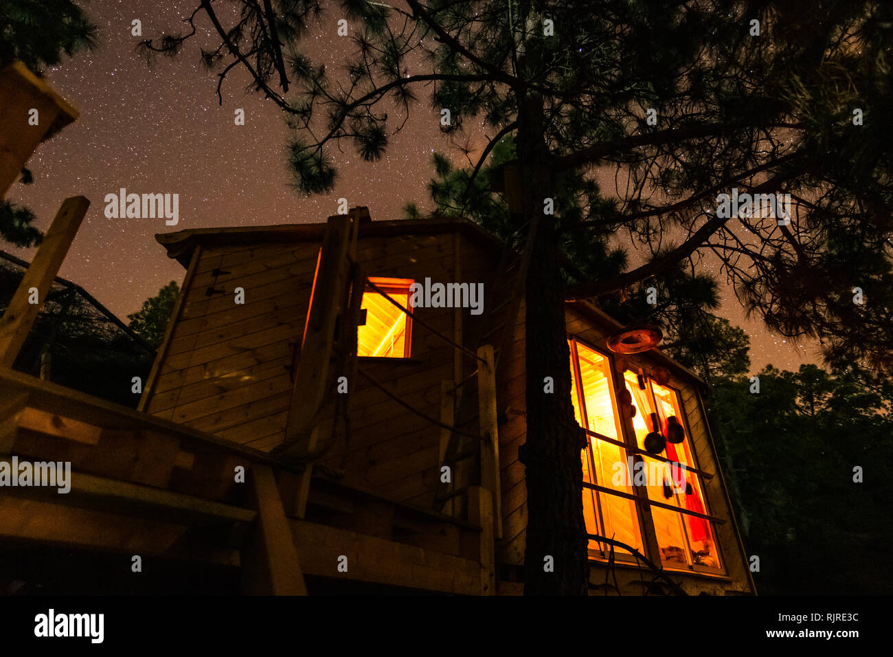 tree house under the night sky with stars Stock Photo - Alamy