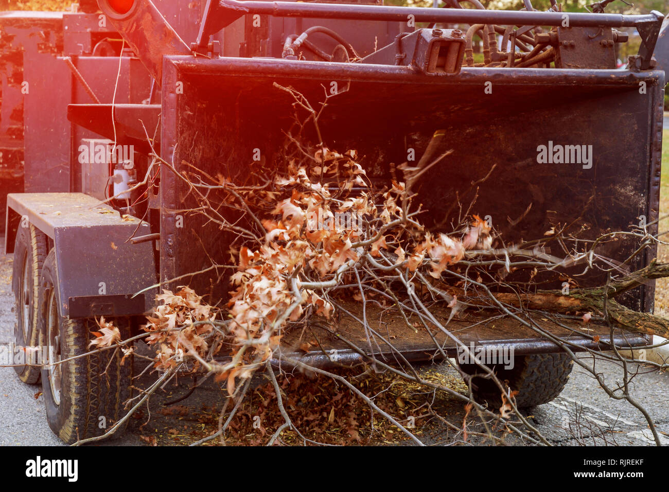 Loading cut tree branches truck hi-res stock photography and images - Alamy