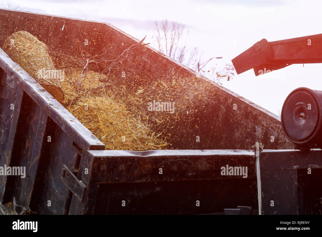 Wood chipper machine of loading truck with wood chips Stock Photo - Alamy