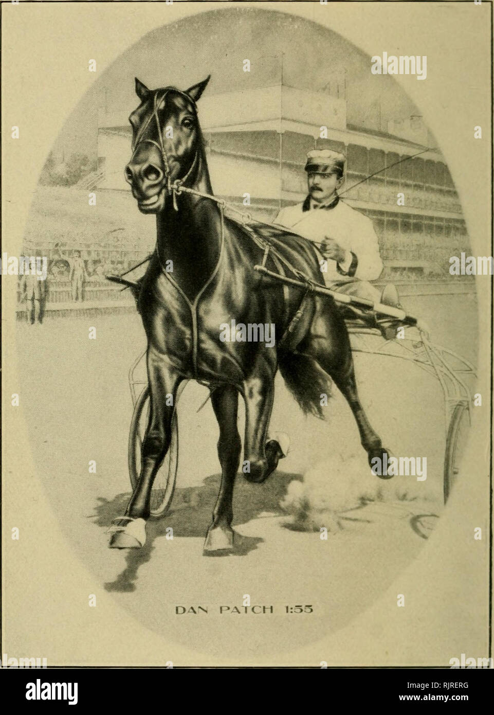 Dan patch hi-res stock photography and images - Alamy