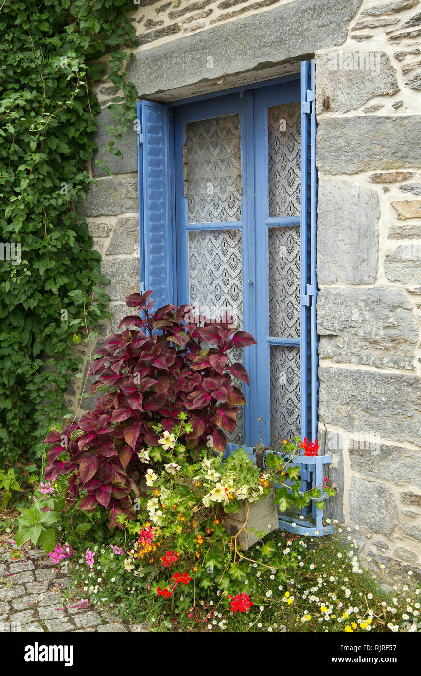 Coleus in flower boxes hi-res stock photography and images - Alamy