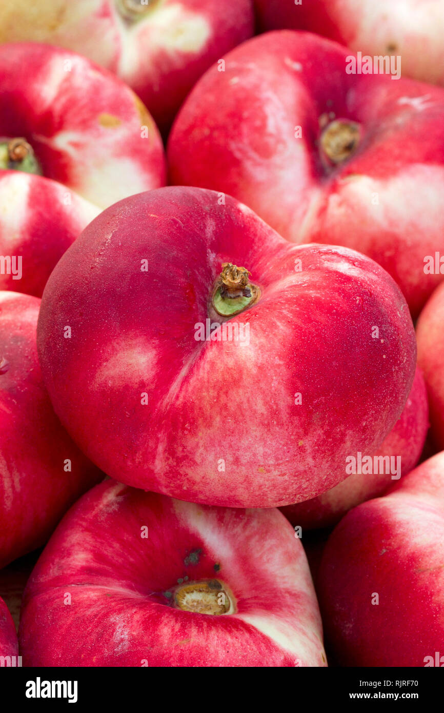 White flat nectarine (Prunus persica) 'Cakelove' Stock Photo - Alamy