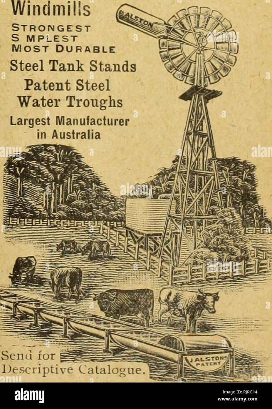 Luan tree hi-res stock photography and images - Alamy