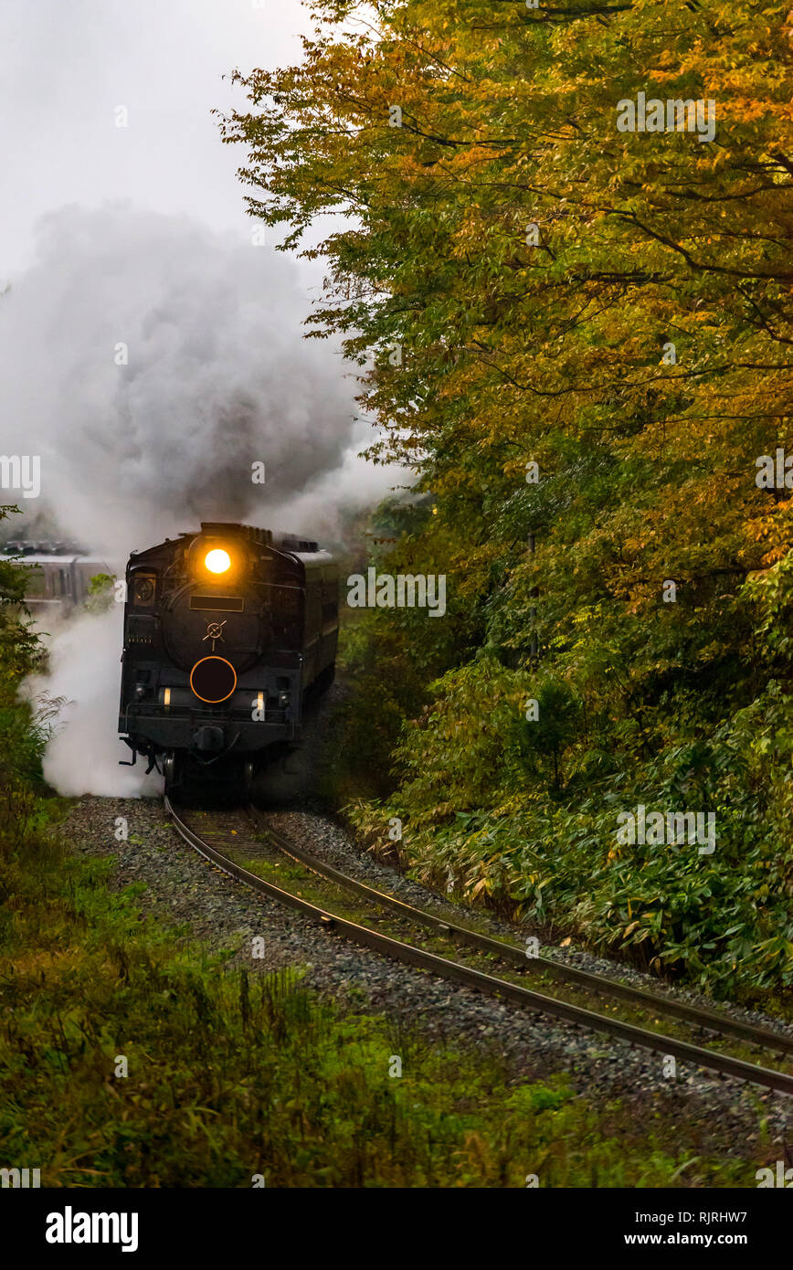 steam locomotive in autumn forest at Fukushima Japan Stock Photo - Alamy