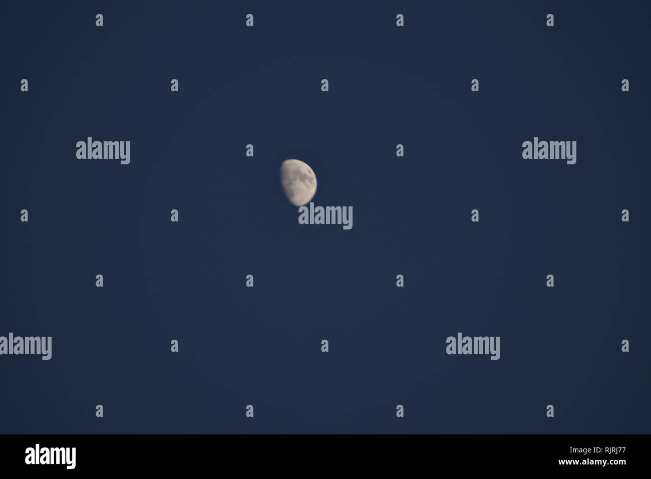 Half life hi-res stock photography and images - Alamy