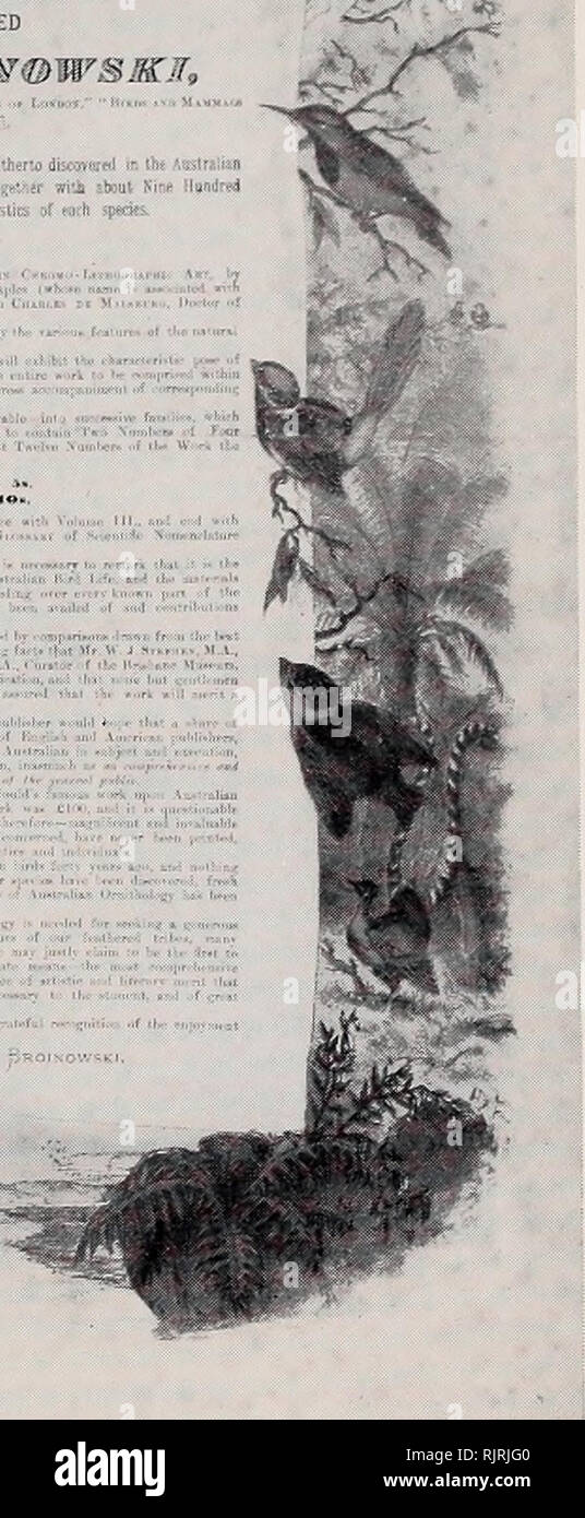 . The Australian zoologist. Zoology; Zoology; Zoology. ti. 'BIRDS OF ...