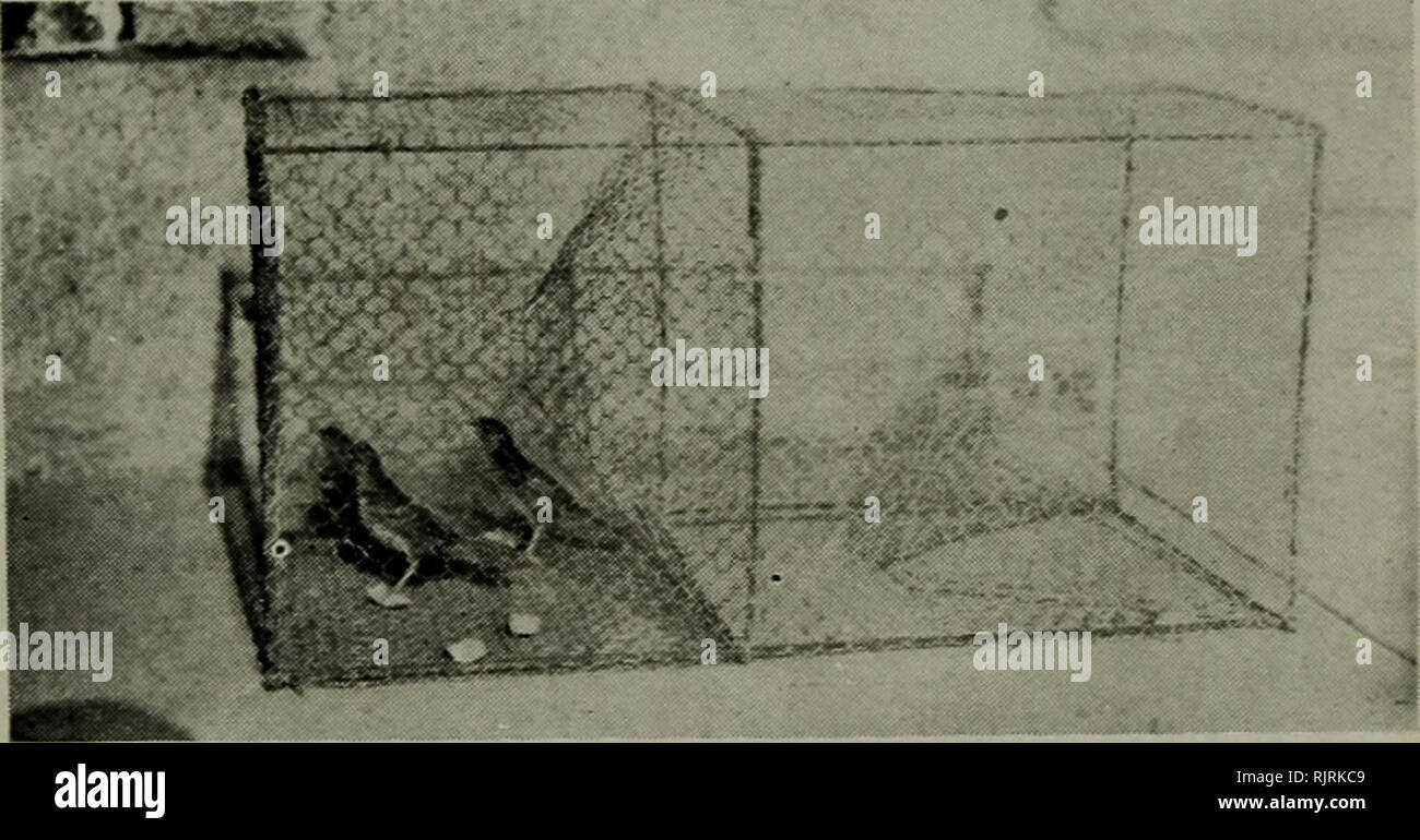 Funnel traps hi-res stock photography and images - Alamy