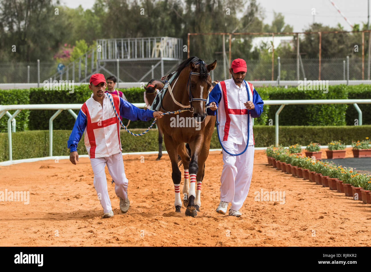 Horse racing at King Khalid Racetrack, Taif, Saudi Arabia 22/06/2018 ...